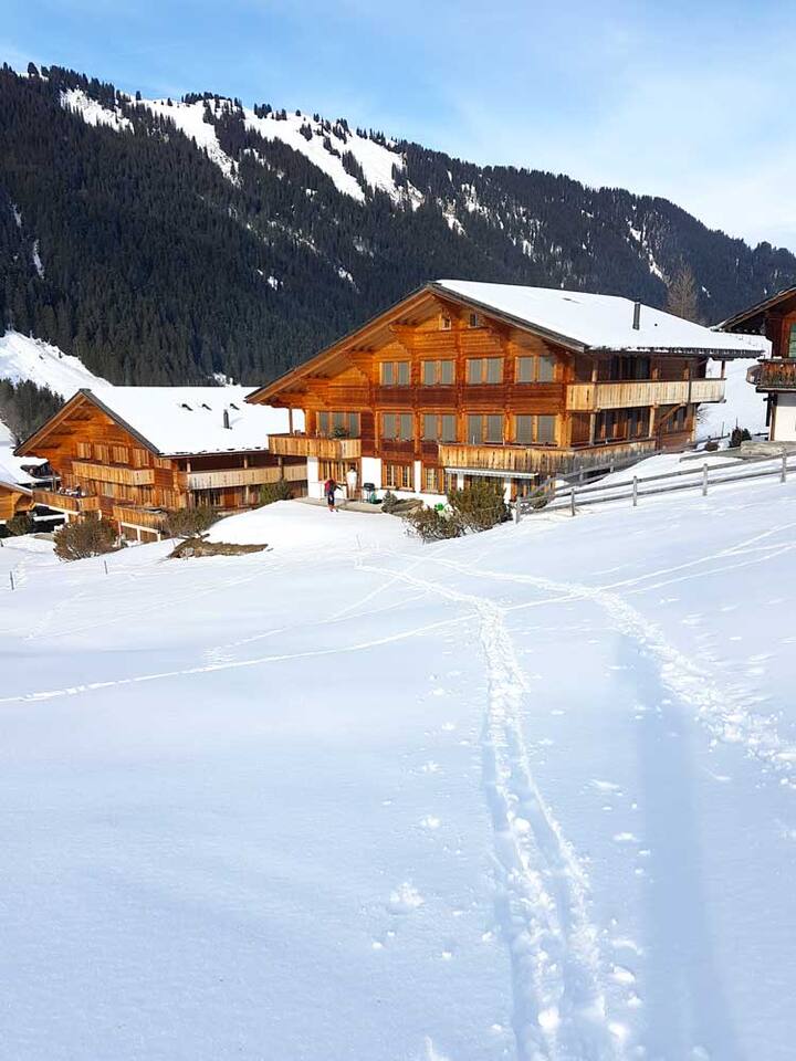 Stunning Gstaad Apartment With Mountain Views - Lauenen