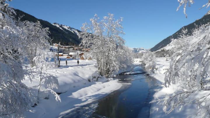Stunning Gstaad Apartment With  Mountain Views - Lenk