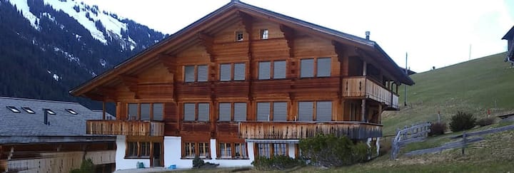 Stunning Gstaad Apartment With Mountain Views - Lenk