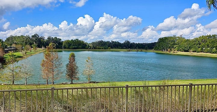 Deja Blue With A Stunning View! - The Villages, FL