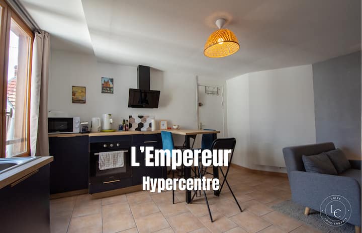 L'empereur - Hypercentre Et 1 Chambre - 37m2 - Orléans