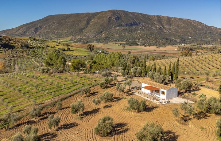 Lovely Home In Algodonales With Wifi - Olvera