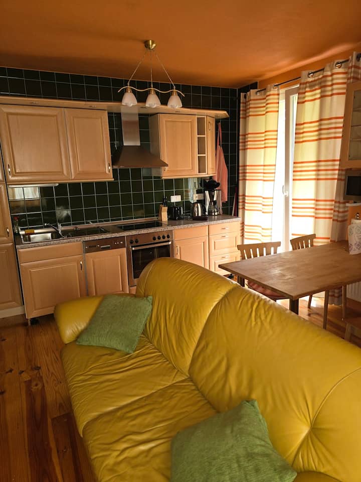 Comfortable Apartament 1 In Villa Küchwald - Chemnitz