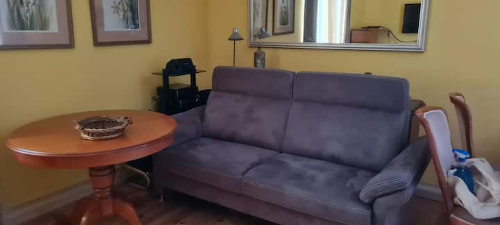 Comfortable Apartament 5 In Villa Küchwald - Chemnitz