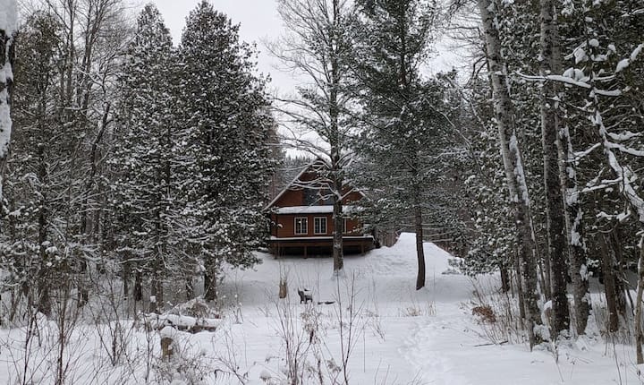 Platte Haven: Enjoy Beautiful Snowy Woods! - Honor