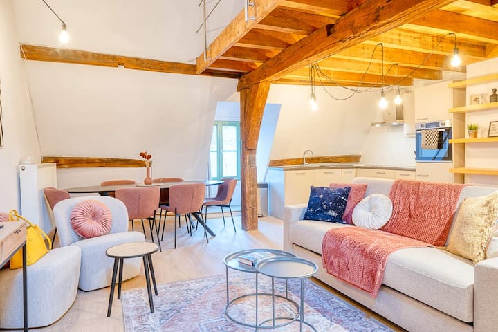 Charming Apartment With Authentic Character - Gand