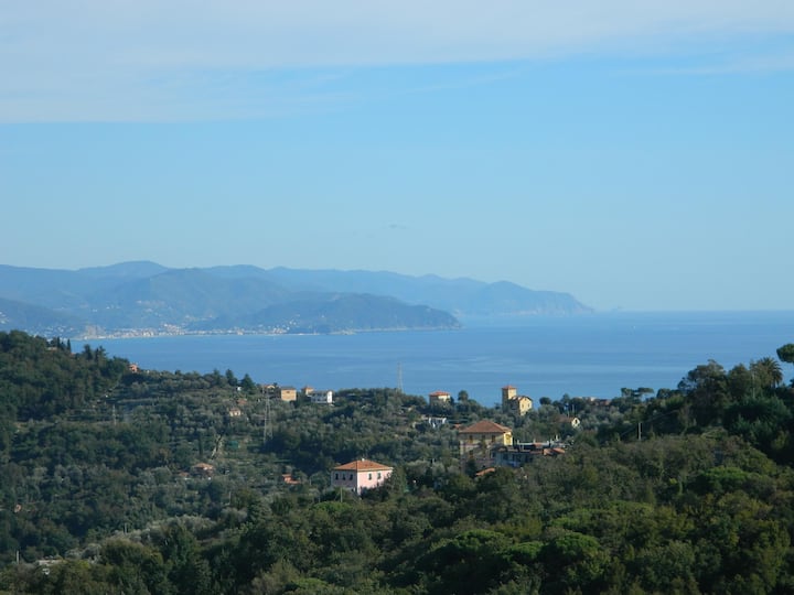 Monolocale Fattorialmare Gialla - Recco