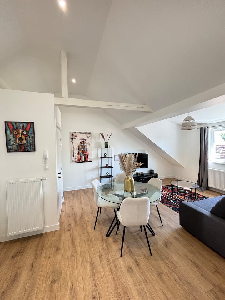 Sohrent Appartment 3 Schiltigheim Tv Wifi - Strasbourg