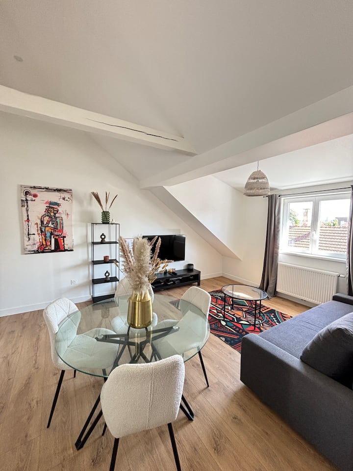 Sohrent Appartment 3 Schiltigheim Tv Wifi - Robertsau
