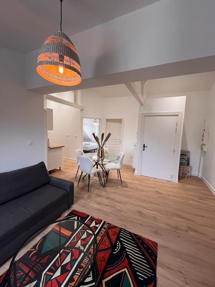 Cosy Rent Appartment 3 Schiltigheim Tv Wifi - Estrasburgo