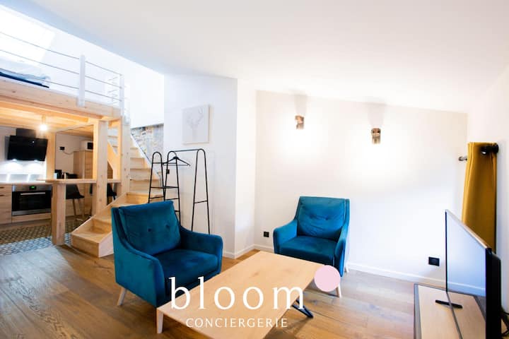 Le Loft Perché De La Vieille Ville - Nancy