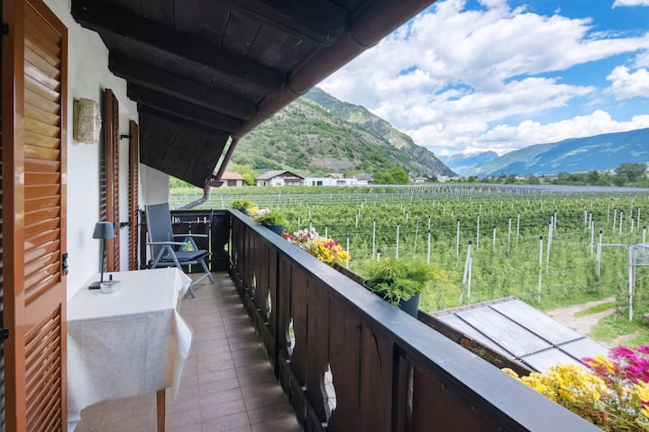 Ferienwohnung Pink Lady - Val Senales