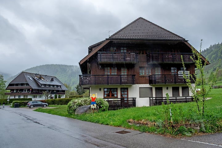 Appartement Am Blaubeerhang - Hinterzarten