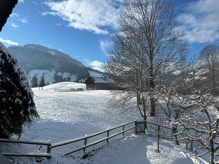 Gstaad Gem: Best Alps View & Serene Pond - Lauenen