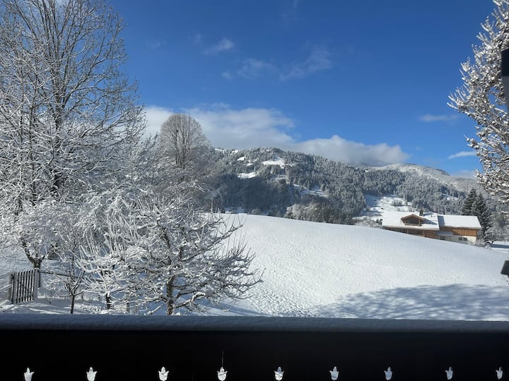 Gstaad Gem: Best Alps View & Serene Pond - Zweisimmen