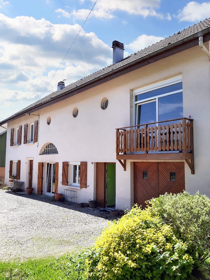 Appartement Confortable Avec Jardin - Saint-Dié-des-Vosges