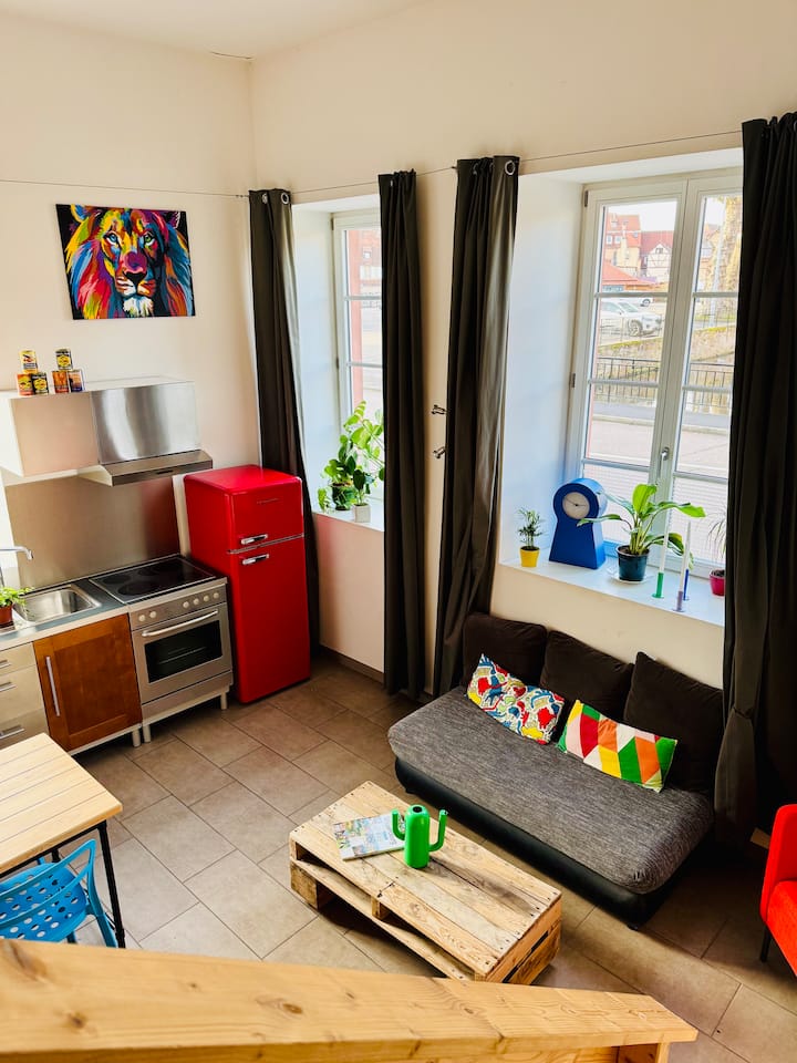 Les Gîtes De Wissembourg - Color Lodge - Wissembourg