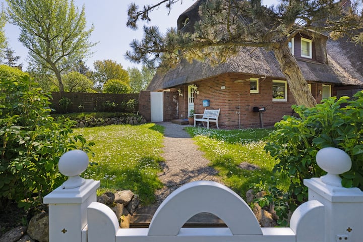 Perle Am Watt - Rømø