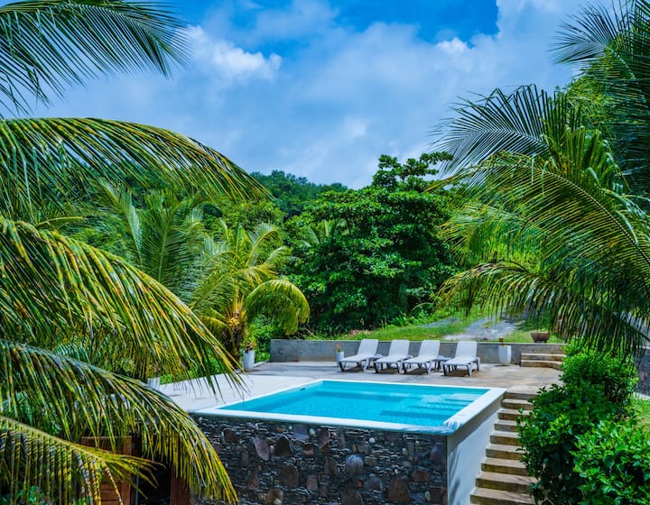 Hibiscus Caribbean Garden Suite With Pool - Dominica