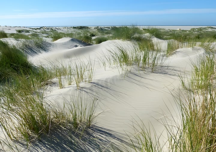 Ferienwohnung Villa Aurora 2 - Borkum