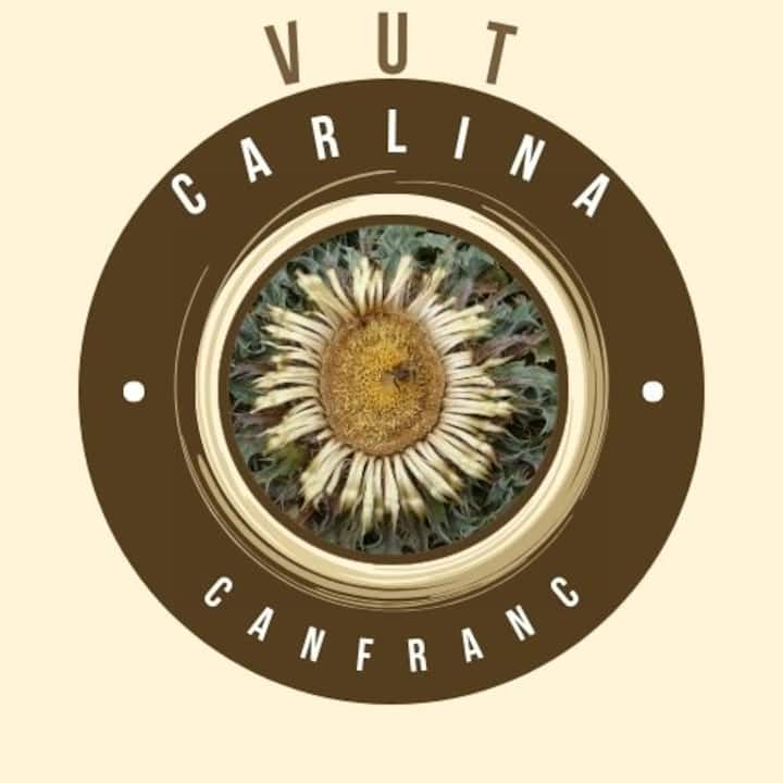 Carlina Canfranc - Candanchú