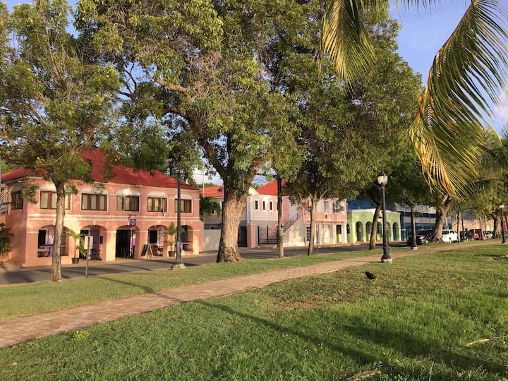 The Heart Of Frederiksted - Steps Away From The Beach - Frederiksted