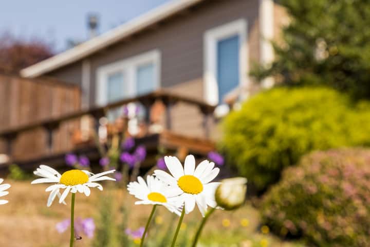Modern Gathering Spaces & Next-level Wellness - Mendocino, CA