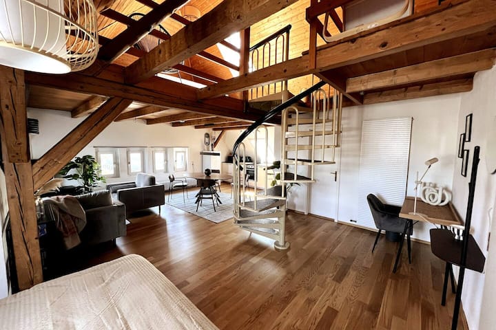 Bregenz - Premium Loft Wilma - Bregenz