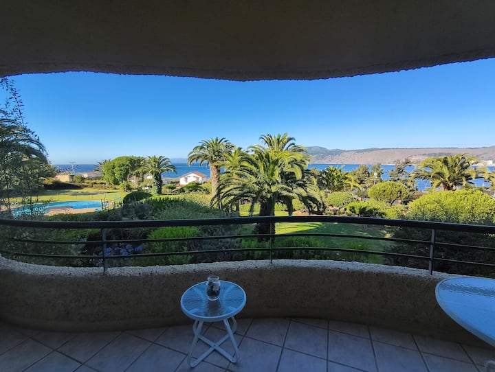 Amplio Y Hermoso Departamento Con Vista Al Mar - Zapallar