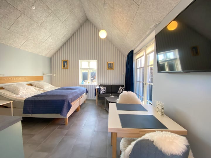 A Truly Beautiful Guest House 020319 - Skagen