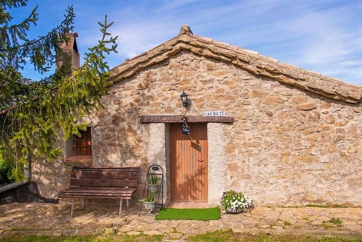 Can Caubet Lll - Berga