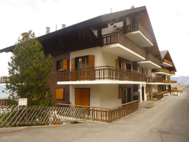 Appartement De Montagne Avec Parking - Sion