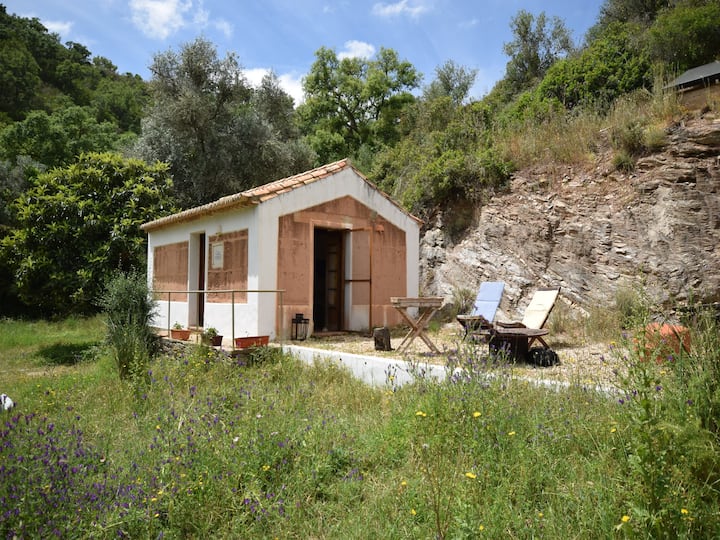 Charmant Gîte Avec Jardin - São Luís