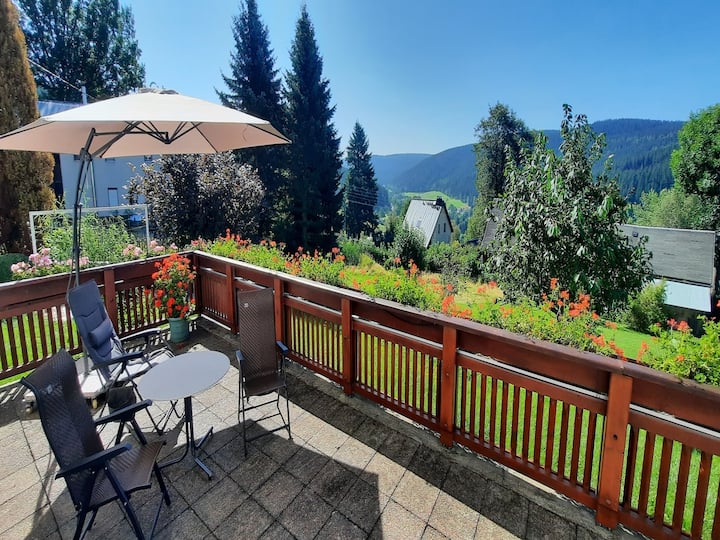 Appartement De Vacances Avec Grande Terrasse - Markersbach