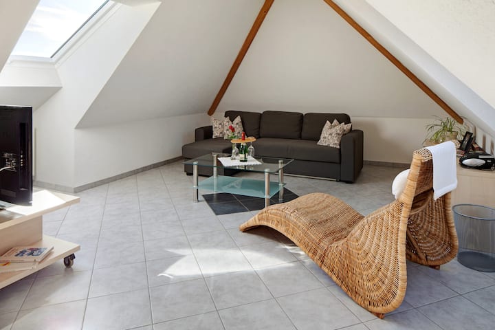 Ferienwohnung Hanisenhof - Titisee-Neustadt