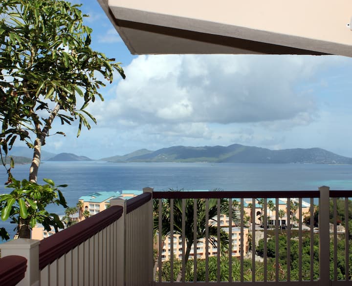 D8 - Point Pleasant Resort - セント・トマス島