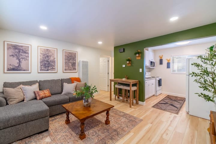 Luxe Loft - Unr & Pet Friendly - Reno, NV