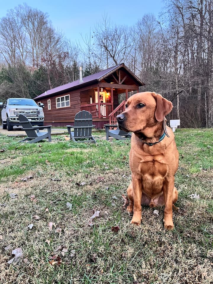 Your Dog Wants This Cabin! Large Yard. Near Casino - Cherokee, NC