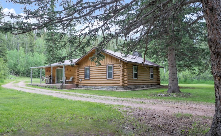 Rustic Roost Log Cabin - Hill City, SD