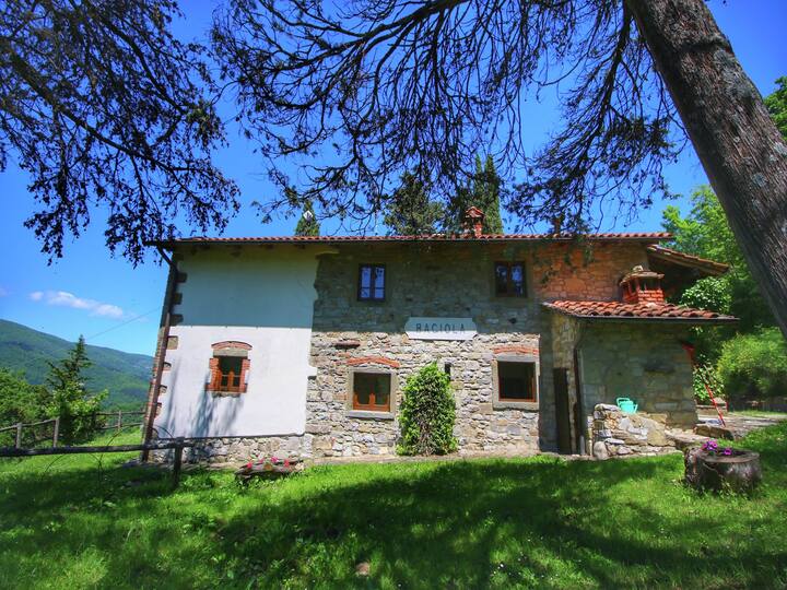 Agritourisme à Ortignano Avec Piscine - Poppi