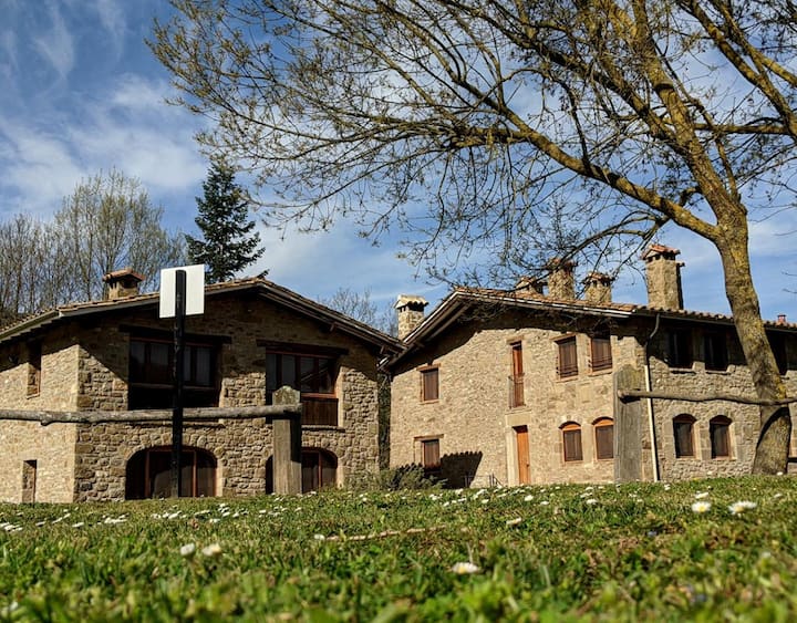 Mas El Carrer - Baixos - Santa Pau
