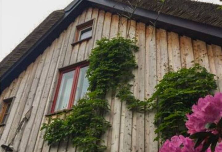 Koras Dachkammer, Künstlerhaus - Wustrow