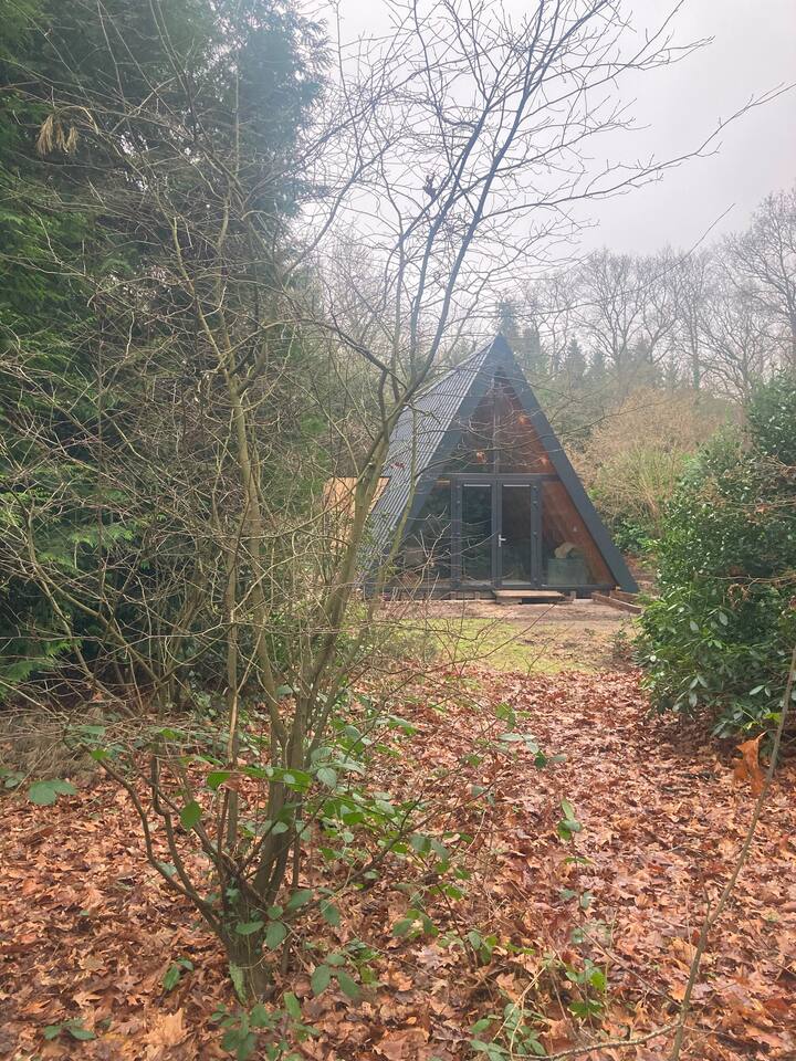 A-huis In Het Bos Van Drenthe - Drente