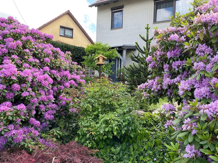 Appartement Près Des Sentiers Inselsberg - Waltershausen