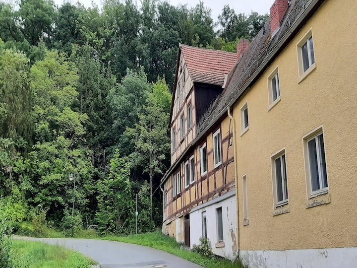Bel Appartement à Bergk Avec Jardin - Schleiz