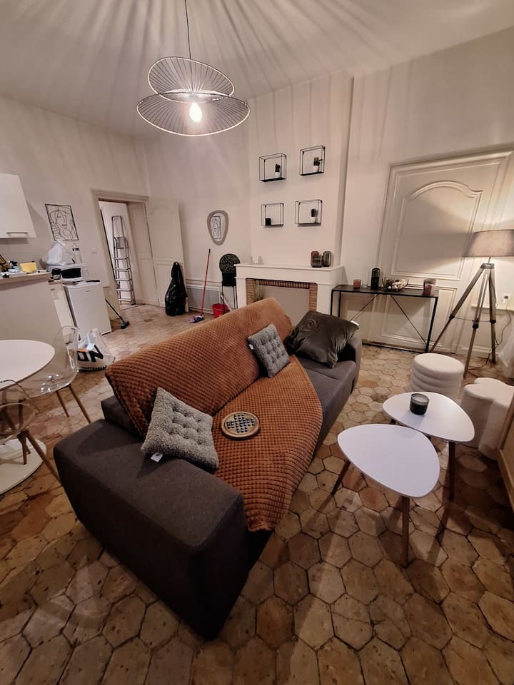 Le Clémenceau Face à La Charente 2 Chambres - Saintes