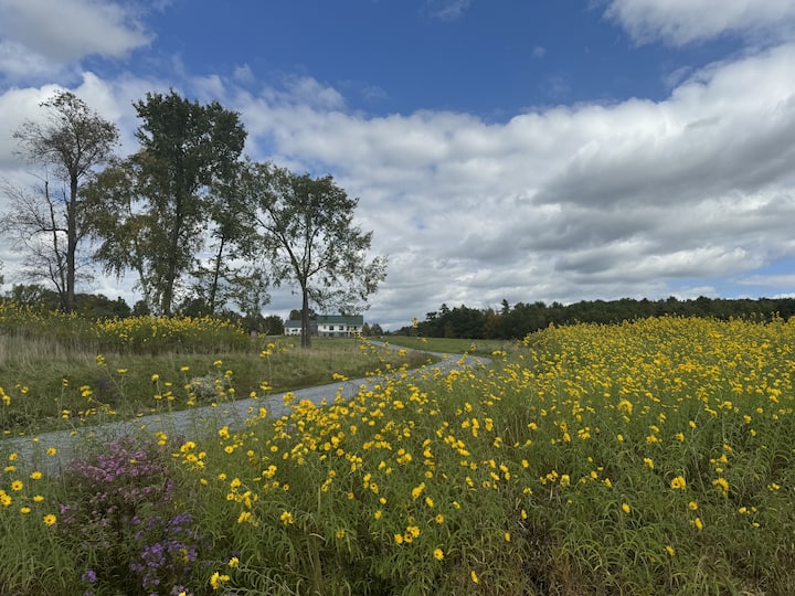 Vermont Modern Farmhouse + 46 Acres + Views - New Haven, VT