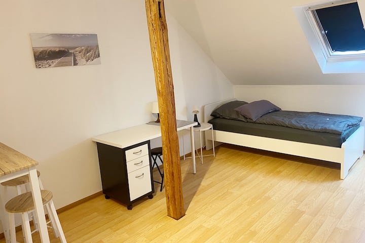 Zw23 5 Zimmer Apartment In Zwickau - Schneeberg