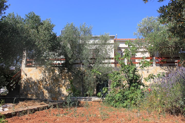 A-8139-b Appartement De Deux Chambres Prés De La - Sali