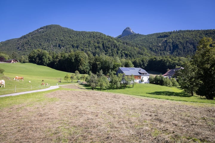 Grafbauer Studio 2 - Moosalm - Strobl